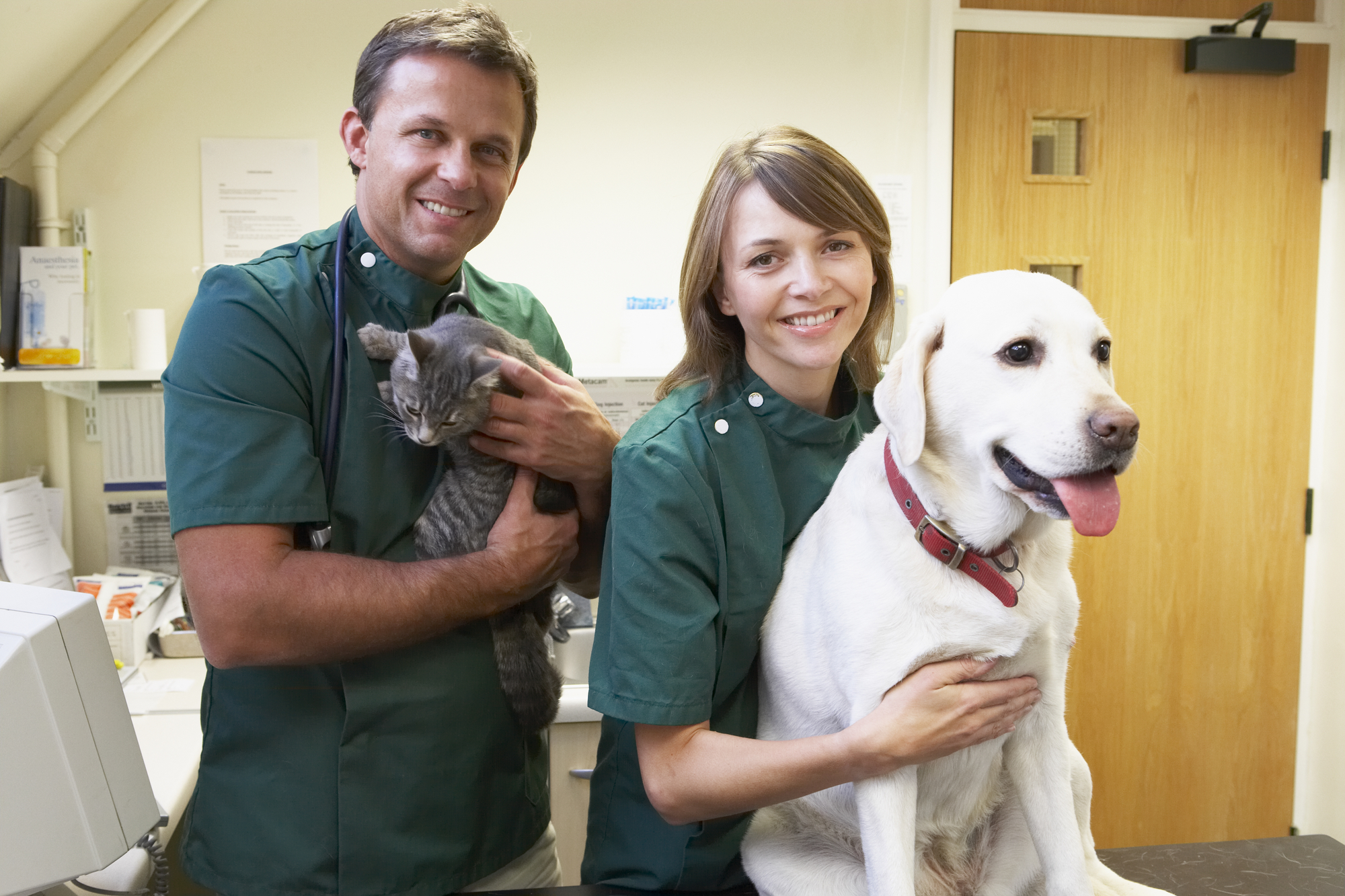 What to Expect From Your Vet - PetStayAdvisor